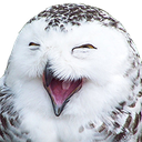 Owl Discord Emojis | Discord Emotes List