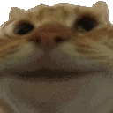 Nod Discord Emojis | Discord Emotes List