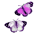 Butterflies Discord Emojis | Discord Emotes List