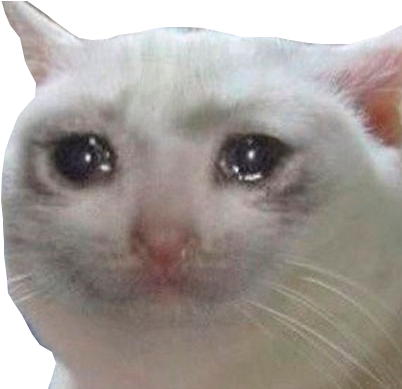 Cat Cry Discord Emojis | Discord Emotes List