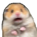 Hamster Discord Emojis | Discord Emotes List
