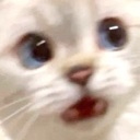 Scared Discord Emojis | Discord Emotes List