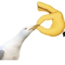 Stfu Discord Emojis | Discord Emotes List