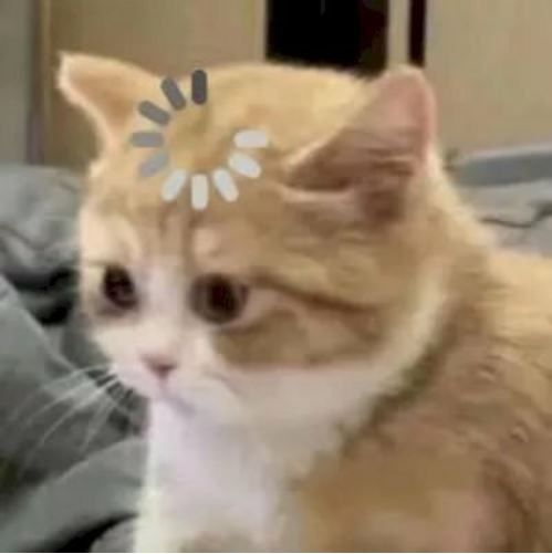 Semi Discord Emojis | Discord Emotes List
