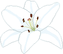 Flower Discord Emojis | Discord Emotes List