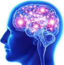 Brain Discord Emojis | Discord Emotes List