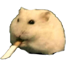 Hamster Discord Emojis | Discord Emotes List