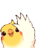 Parrots Discord Emojis | Discord Emotes List