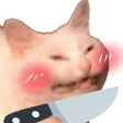 Blush Discord Emojis | Discord Emotes List